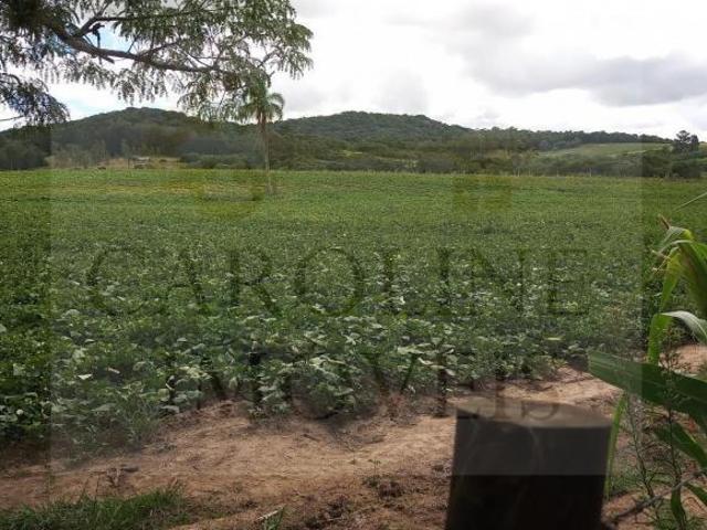 Fazenda