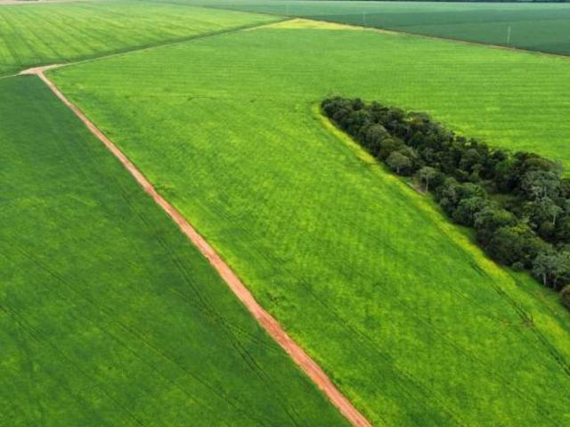 Fazenda