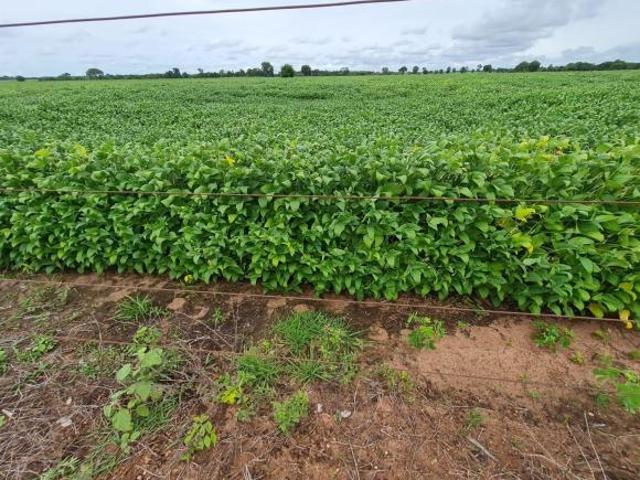 Fazenda