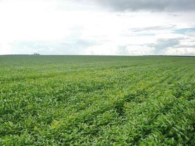 Fazenda