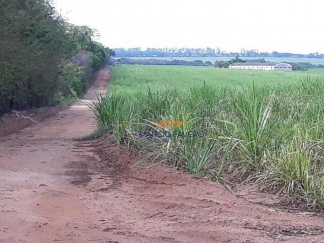 Fazenda