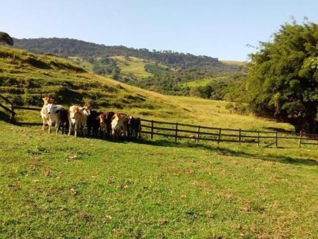 Fazenda