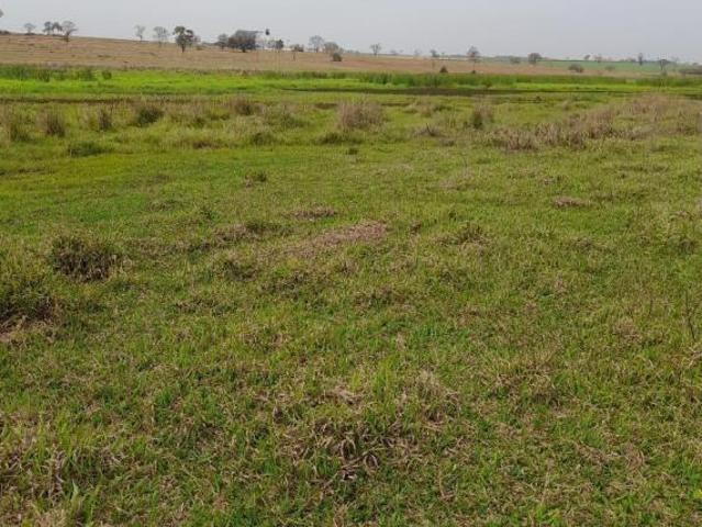 Fazenda