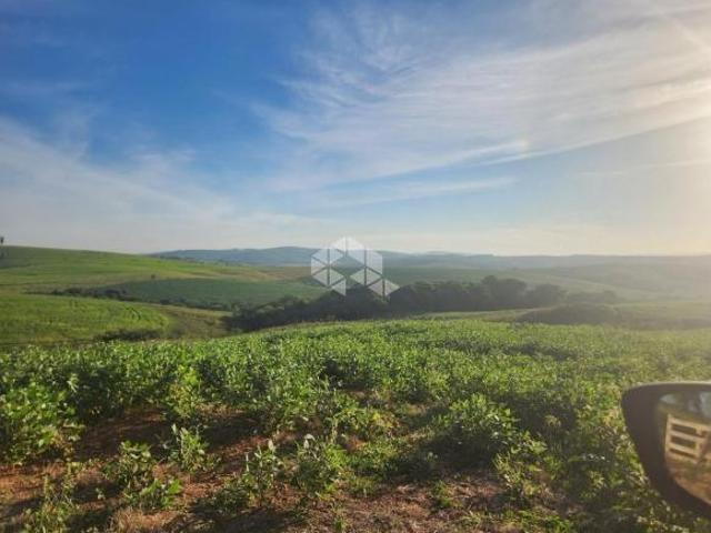 FAZENDA 250 HA proximo a Porto Alegre