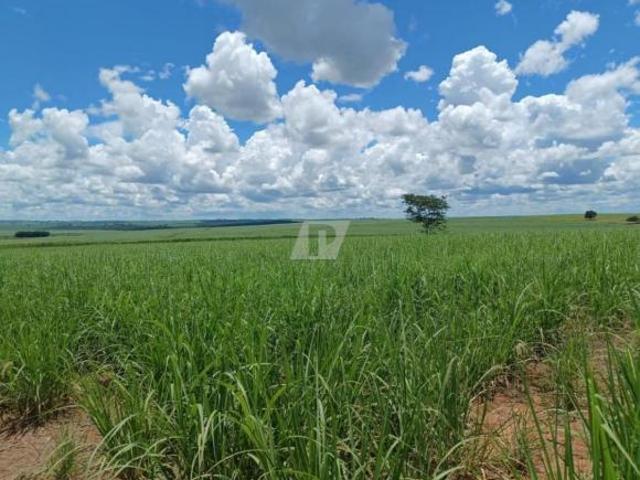 Fazenda