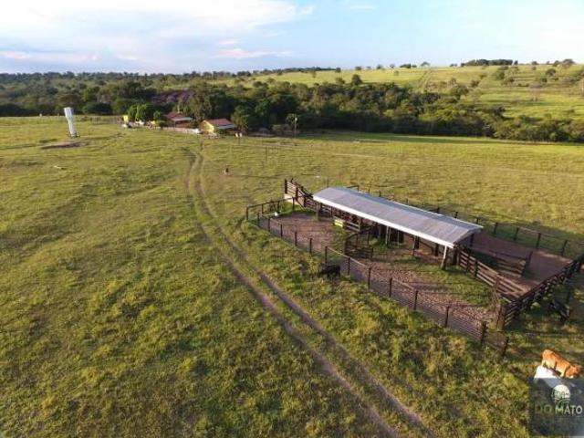 FAZENDA 255 HECTARES PECUARIA EM RIO VERDE DE.