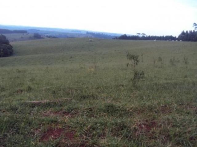 Fazenda