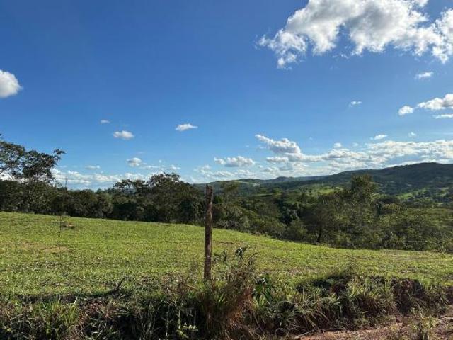 Fazenda 25 Alqueires Posto Nelore Trevo Luziania GO R$ 1.800.000,00 Aceito imóvel