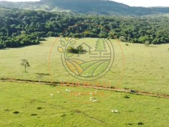 Fazenda