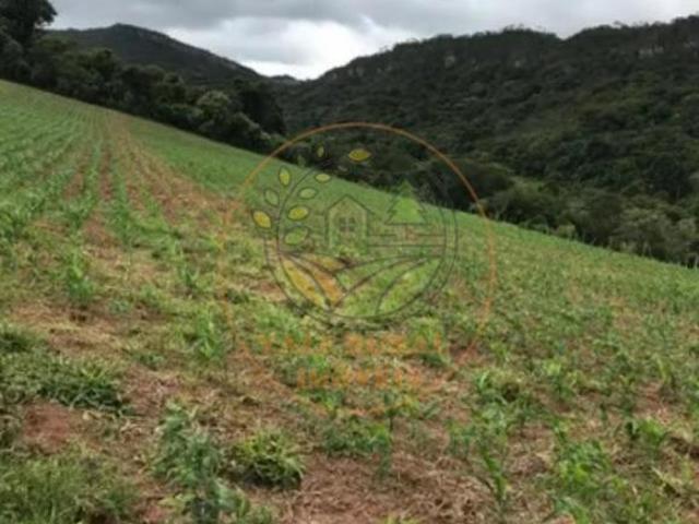 Fazenda