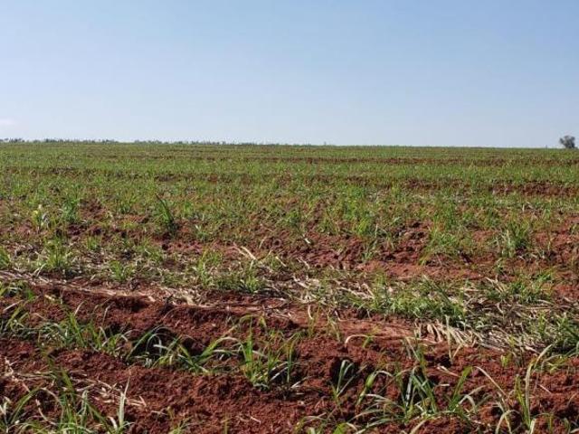 Fazenda