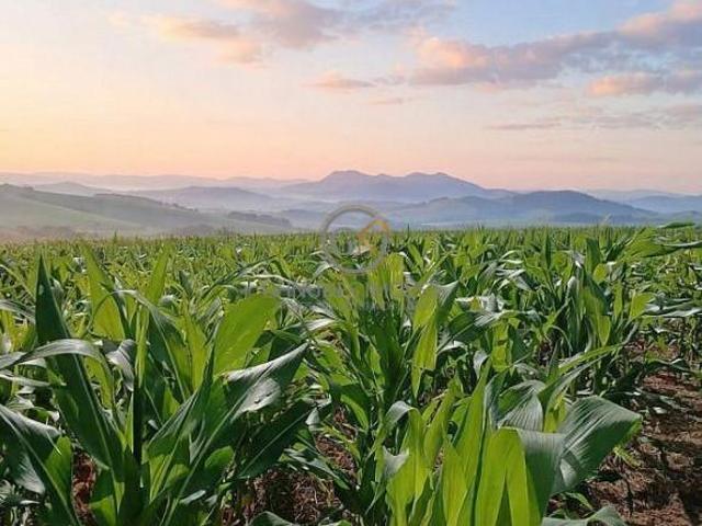 Fazenda 268 Ha à Venda em Conceição do Rio Verde MG