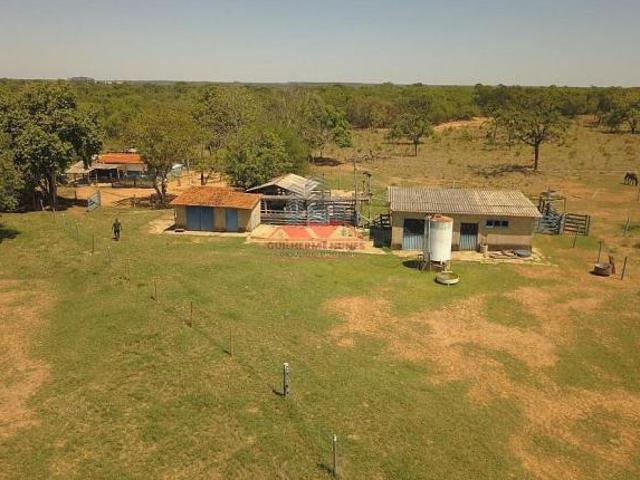 Fazenda 272 ha em João Pinheiro MG: 100% Plana e com Poço