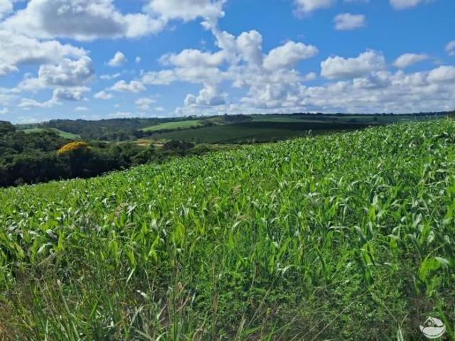 Fazenda