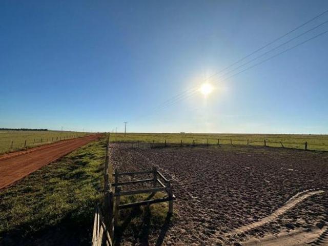 Fazenda