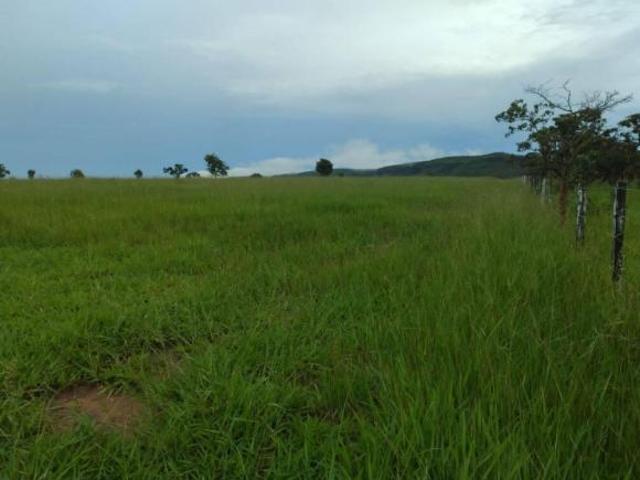 Fazenda