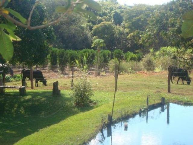 Fazenda