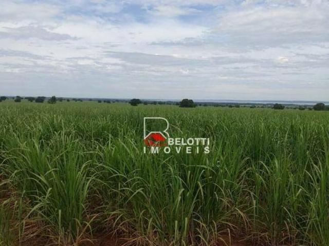 Fazenda