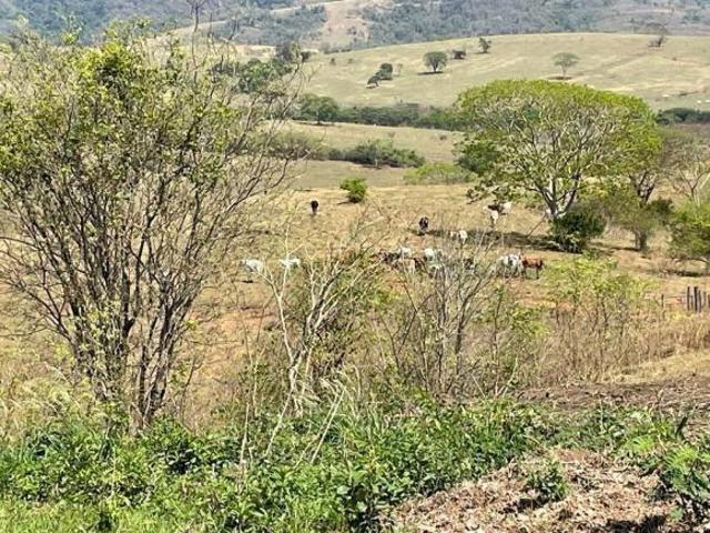 Fazenda 276 Alqueires, Rica em Água com 3 Represas, Acesso Asfaltado, Formada na Pecuária, Casa de C
