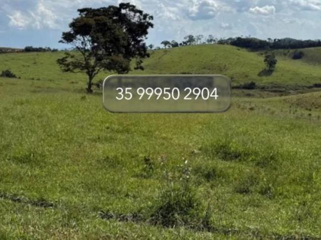 Fazenda para venda em Centro, Ouro Fino