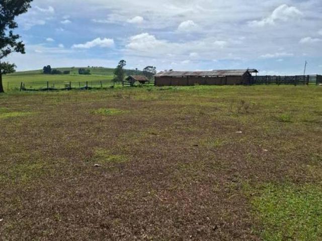 Fazenda para venda em Mirante do Paranapanema