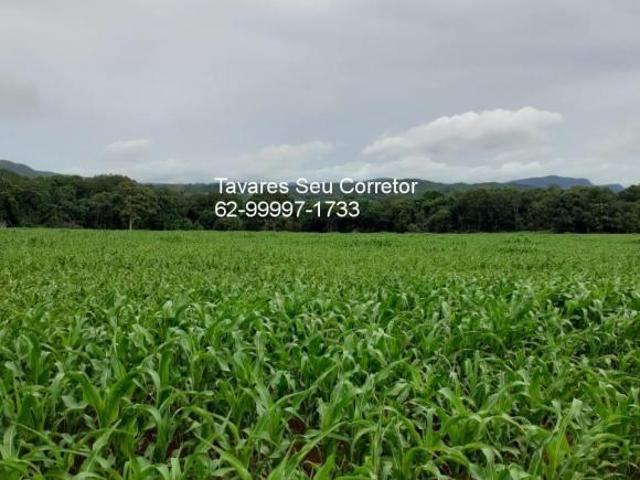 Fazenda