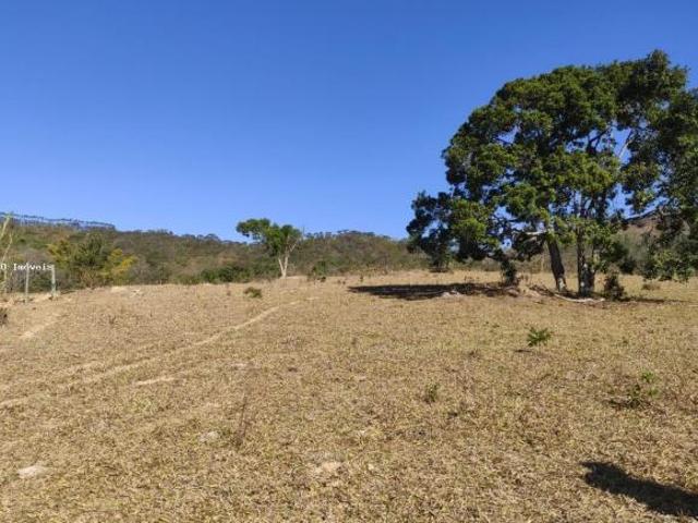 Fazenda