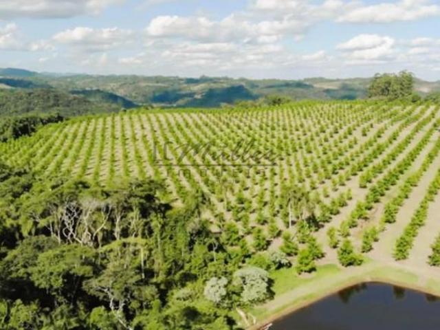 Fazenda