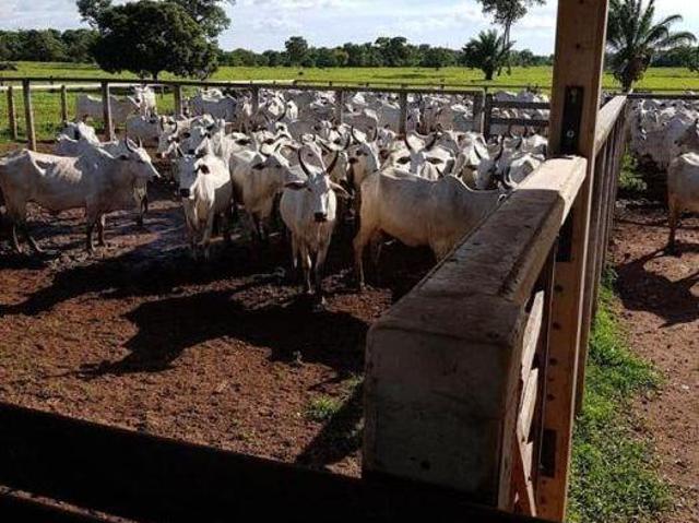 Fazenda