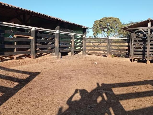 Fazenda 287 hectares