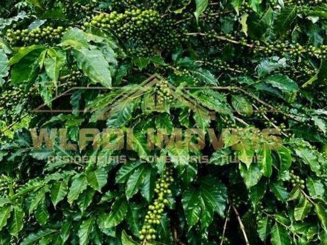 Fazenda para venda em Centro, Elói Mendes