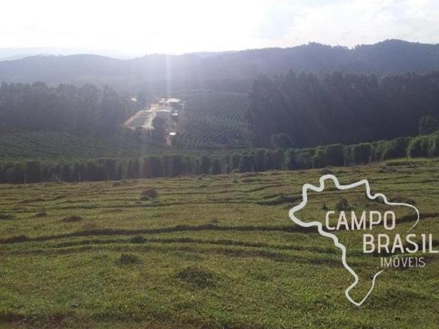 FAZENDA 290 ALQUEIRES NO SUL DE MINAS COM ESTRUTURA COMPLETA!