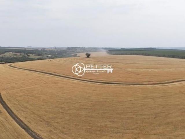 FAZENDA 290 HA PLANTIO DE SOJA AGRO NEGOCIO ITAPETININGA/SP
