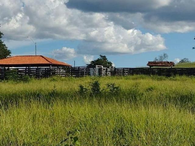 Fazenda 290 hectares em Curvelo/MG a 115 km de Montes Claros