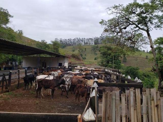 Fazenda