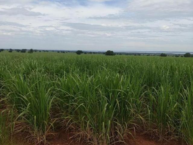 Fazenda