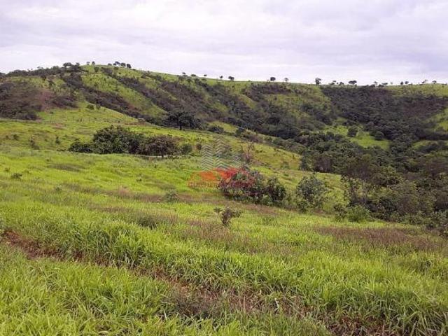 Fazenda 292 Alq em Cocalzinho de Goiás | Terra de Cultura