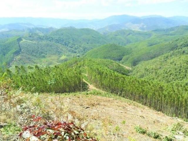 Fazenda