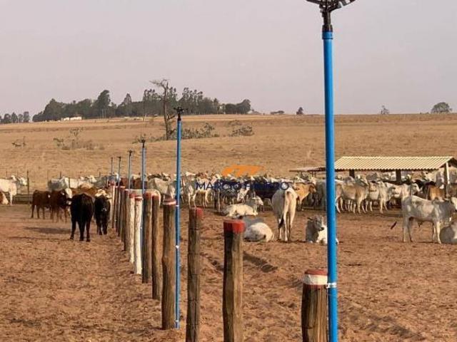 Fazenda