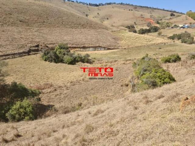 Fazenda