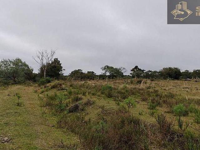 Fazenda