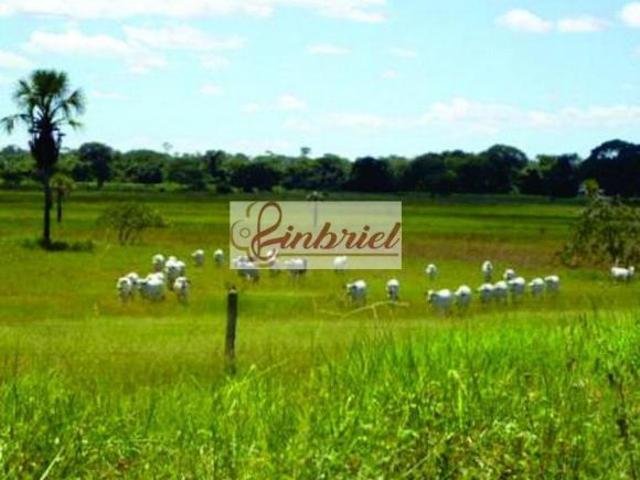 Fazenda