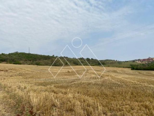 Fazenda