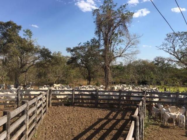 Fazenda