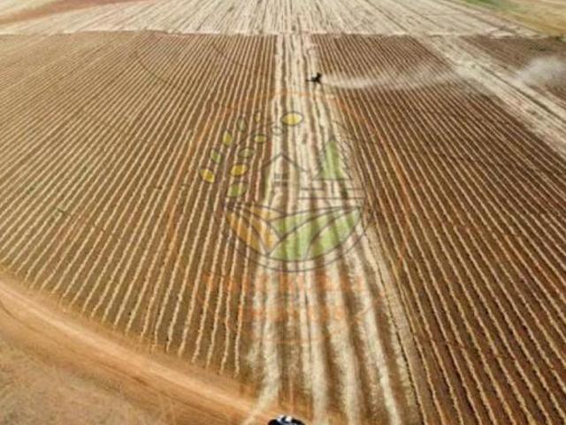 Fazenda