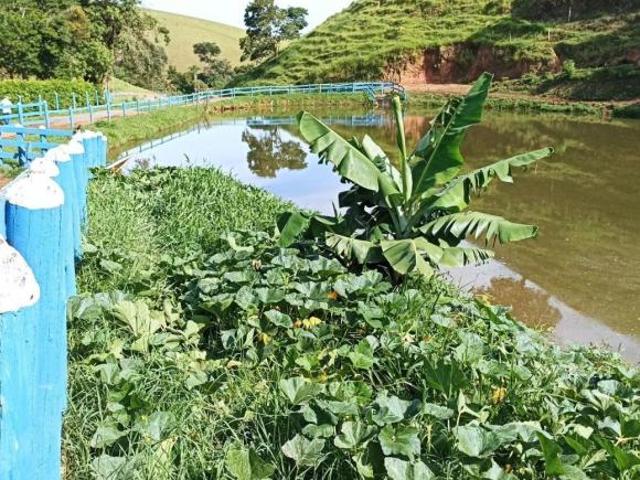 Fazenda