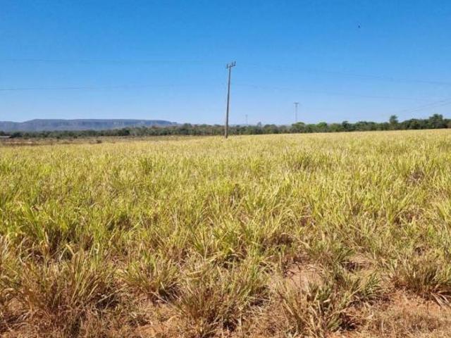 Fazenda