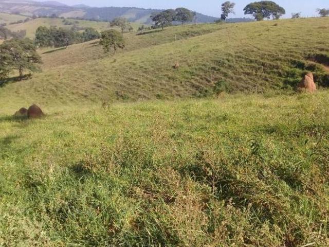 Fazenda 205,50 hectares. Toda formada. Tem curral em concreto e fio de aço brete balança Curral