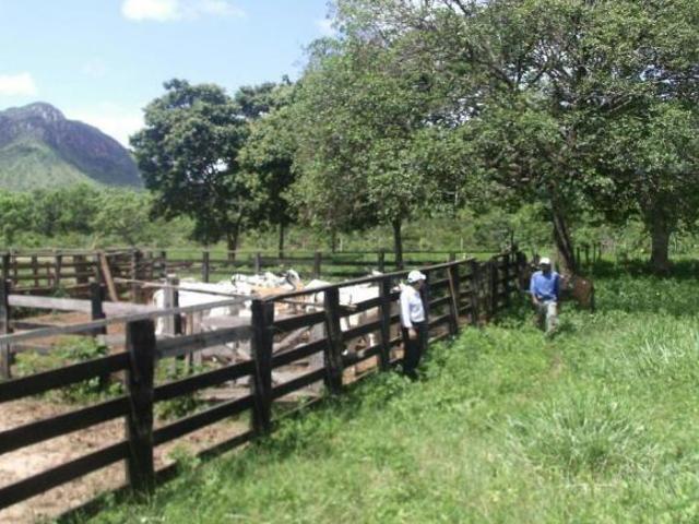 Fazenda