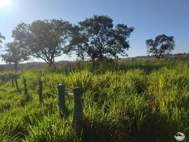 Fazenda